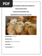 Food and Nutrition SBA Time Plan Sheet | PDF