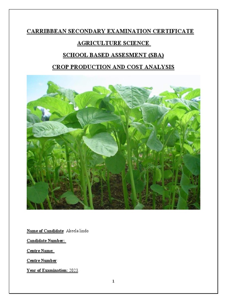 Akeela Lindo Crop Sba | PDF | Soil | Mulch
