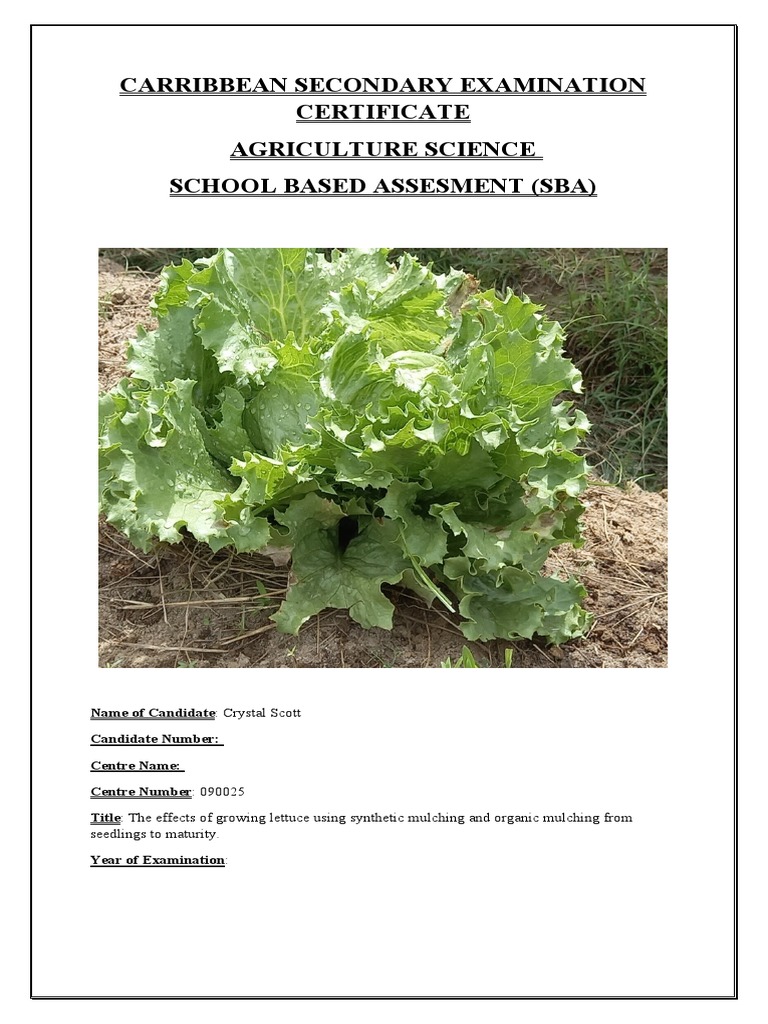 Agriculture - Science Sba Crystal Scott | PDF | Mulch | Agriculture