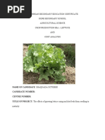 Agricultural Science Sba On Broiler | PDF | Chicken | Poultry Farming