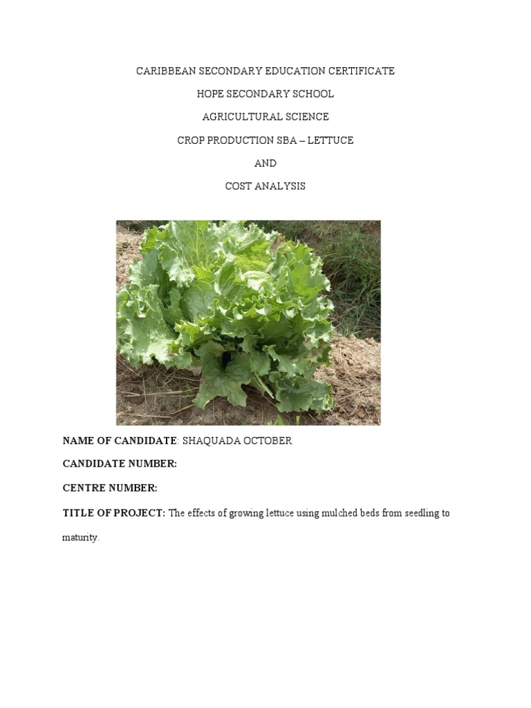 AGRICULTURAL SCIENCE SBA Quada - Copy (Repaired) | PDF | Mulch | Lettuce