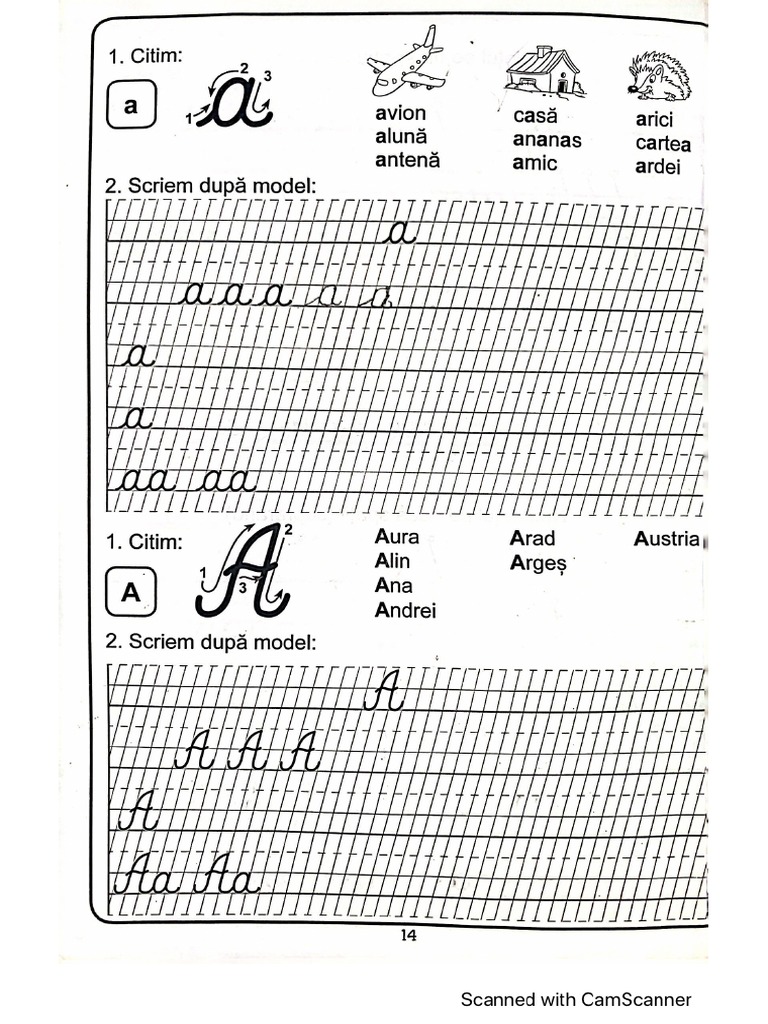 Fișe de Lucru Scriere | PDF