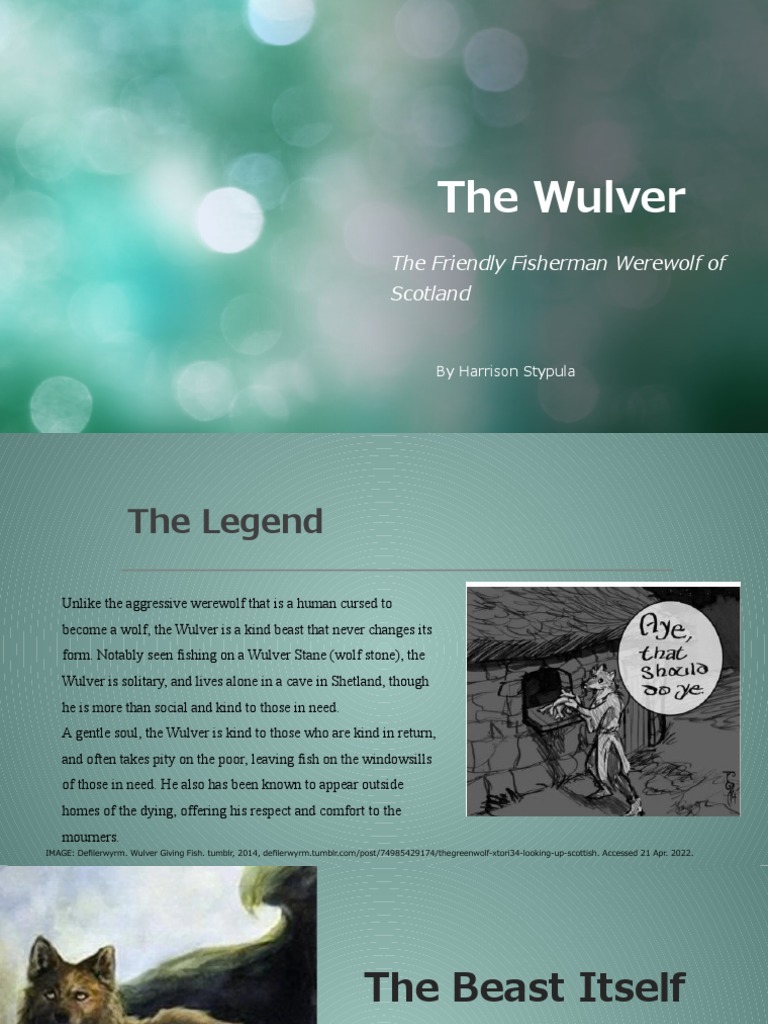 The Benevolent Wulver of Shetland | PDF | Werewolves | Legendary Creatures