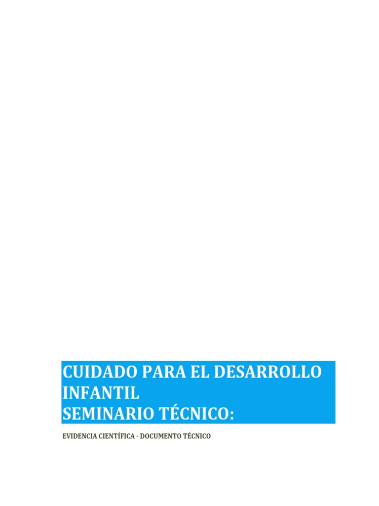 01 CDI Seminario Evidencia - Documento Tecnico (Esp) | PDF