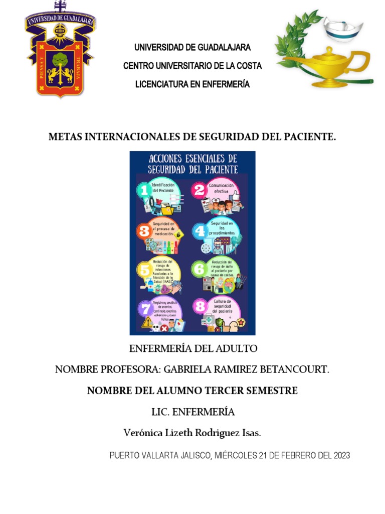 Metas Internacionales de Seguridad Del Paciente | PDF | Seguridad del ...