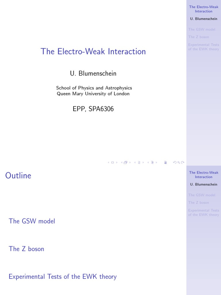 Electroweak Interaction | PDF