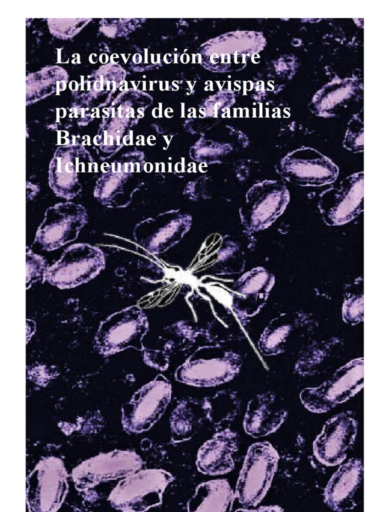 Coevolución Entre Polydnavirus y Avispas Parasitas de Las Familias ...