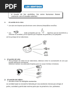 Actividades para el Sentido del Tacto | PDF