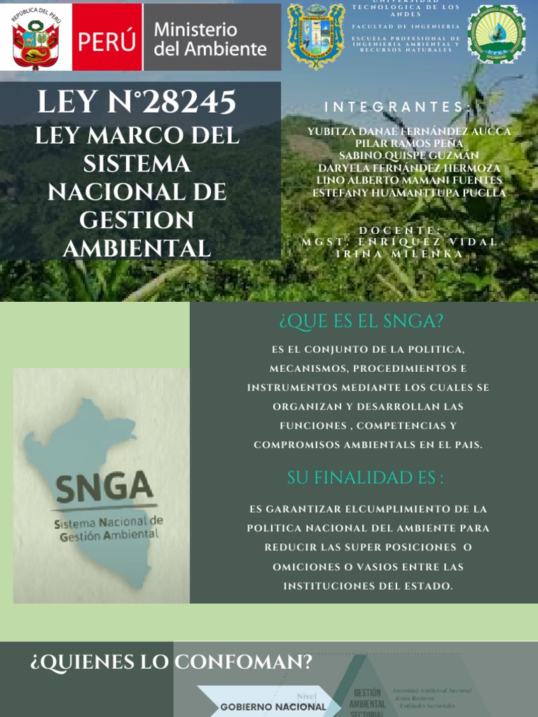 LEY N°28245: Ley Marco Del Sistema Nacional de Gestion Ambiental | PDF ...