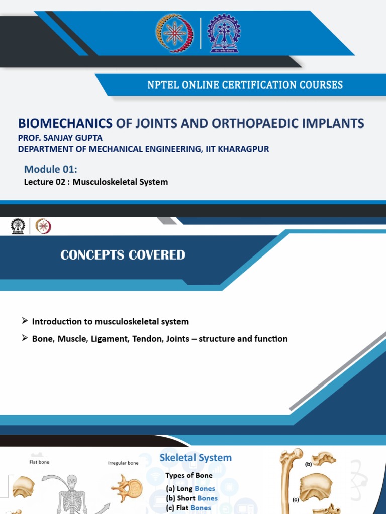 Mod 1.2 Musculoskeletal System Updated | PDF | Skeletal Muscle | Tendon