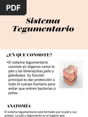 El Sistema Tegumentario Y Sus Patologas