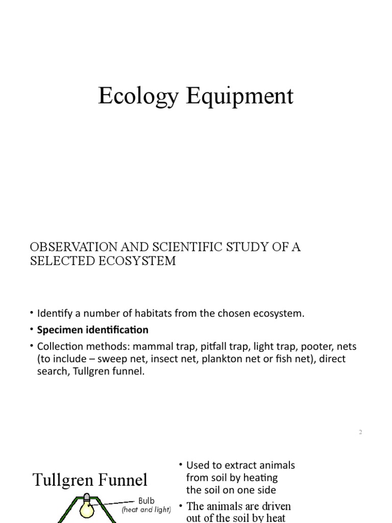 Week 2 Ecology Equipment | PDF | Insects