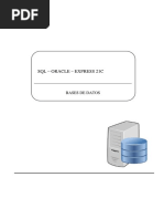 Instalación de Oracle SQL Developer | PDF | Crecimiento personal y profesional | Tecnología