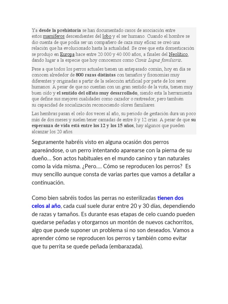 El Perro Pdf Eyaculación El Embarazo