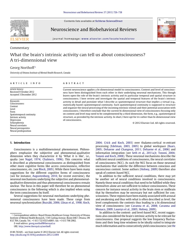 What The Brain's Intrinsic Activity Can Tell Us About Consciousness? A Tri-Dimensional View ...