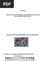Qué Es La Suberina y Cuál Es Su Función | PDF | Ciencia y matemáticas