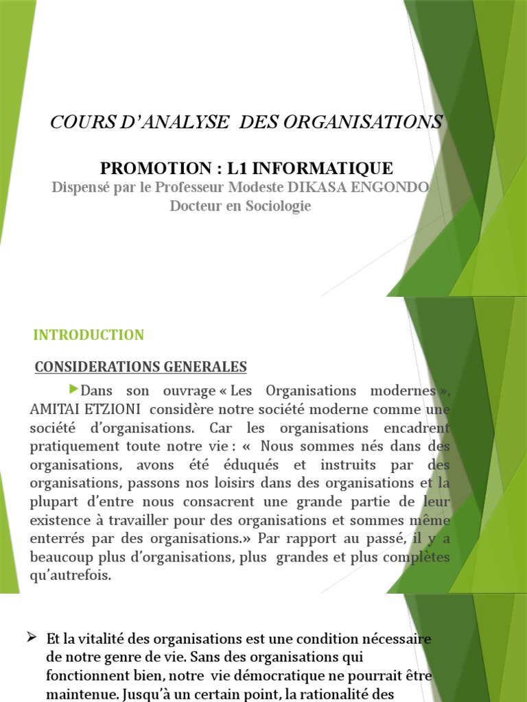 Cours D'Analyse Des Organisations: Promotion: L1 Informatique | PDF | Business | Bureaucratie