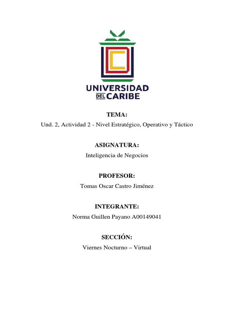 Niveles Estratégico, Táctico y Operativo en BI | PDF