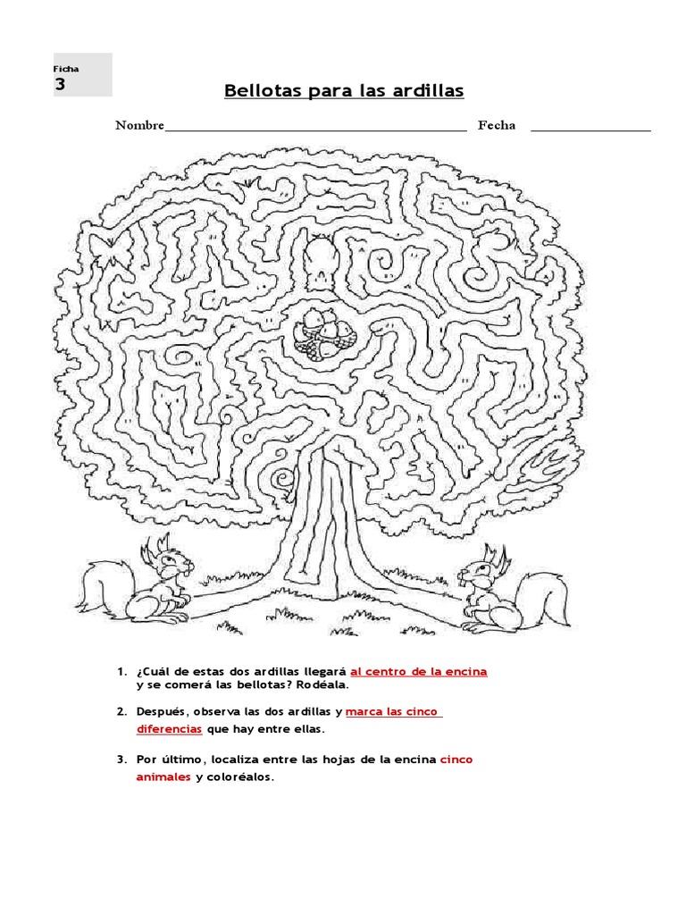 Actividades de Bellotas y Ardillas | PDF