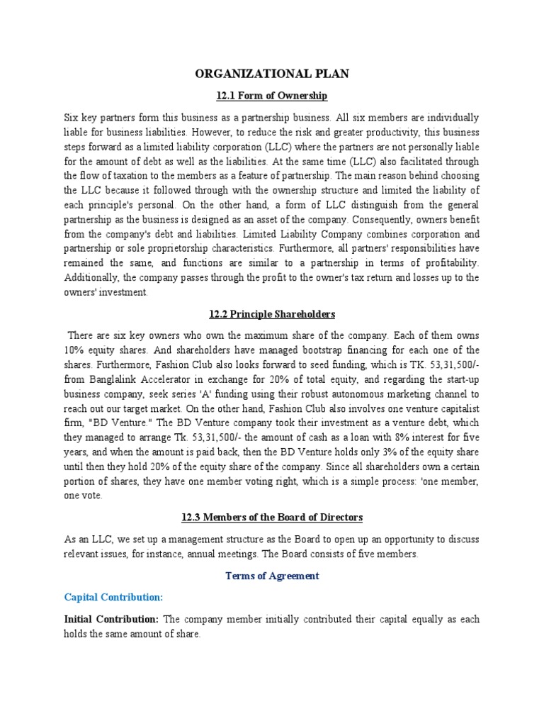 Mgt368 Financial Plan | PDF | Partnership | Limited Liability Company