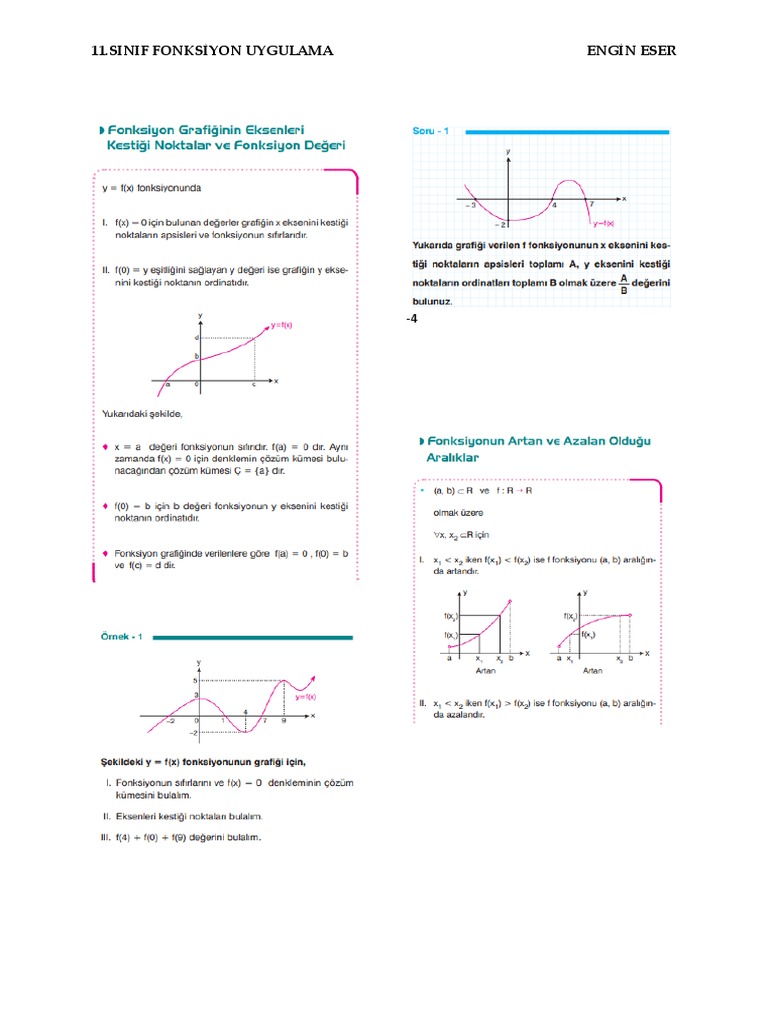 11.sinif Fonksiyon Uygulama Engin Eser | PDF