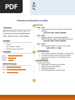 CV Meriem | PDF