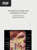 Signo de Mickey Mouse | PDF | Vena | Ultrasonido médico