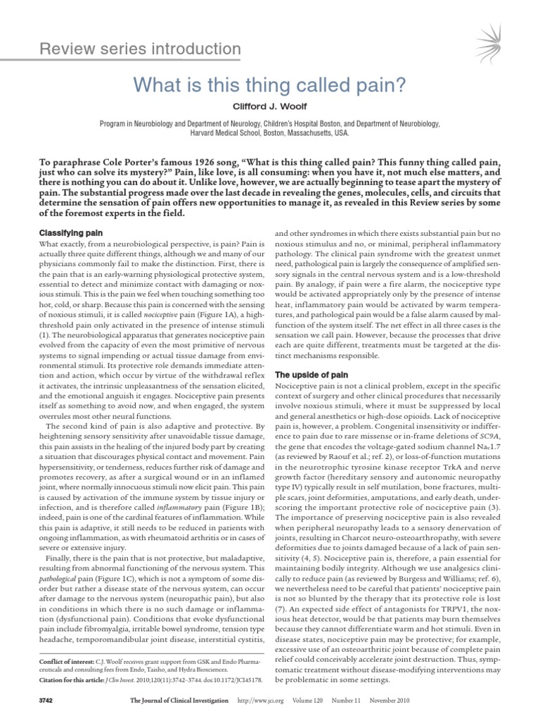 Introduction Understanding Pain – XORQ