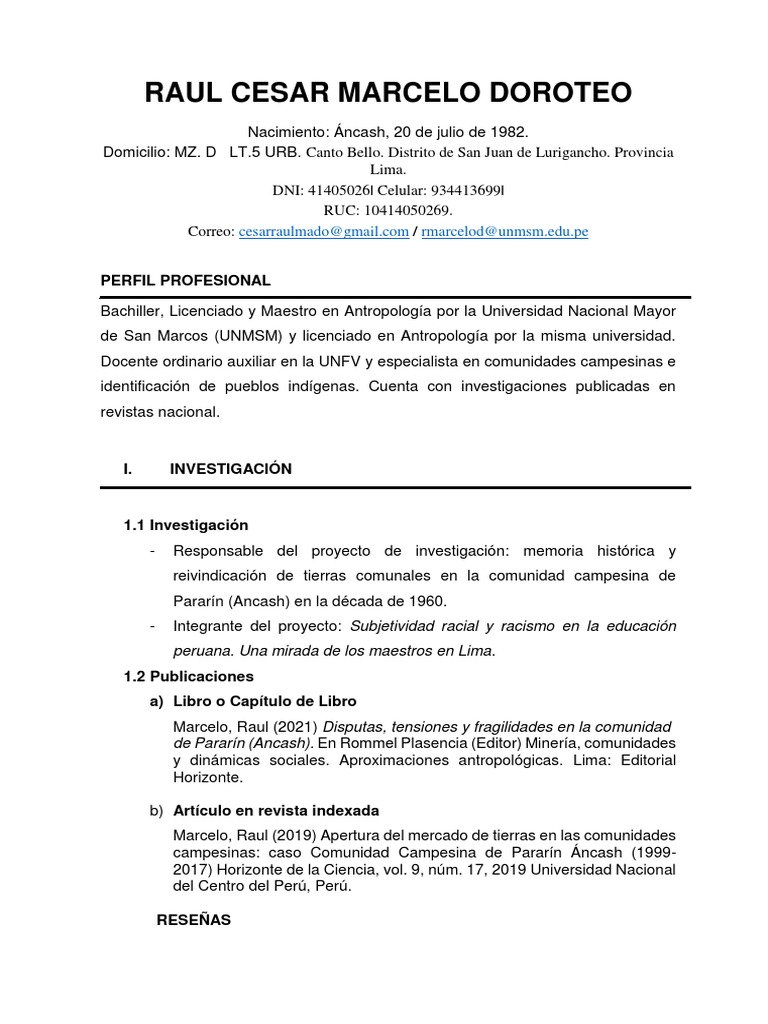 Curiculo Vitae 2023 Raul Marcelo | PDF | Perú | Universidad