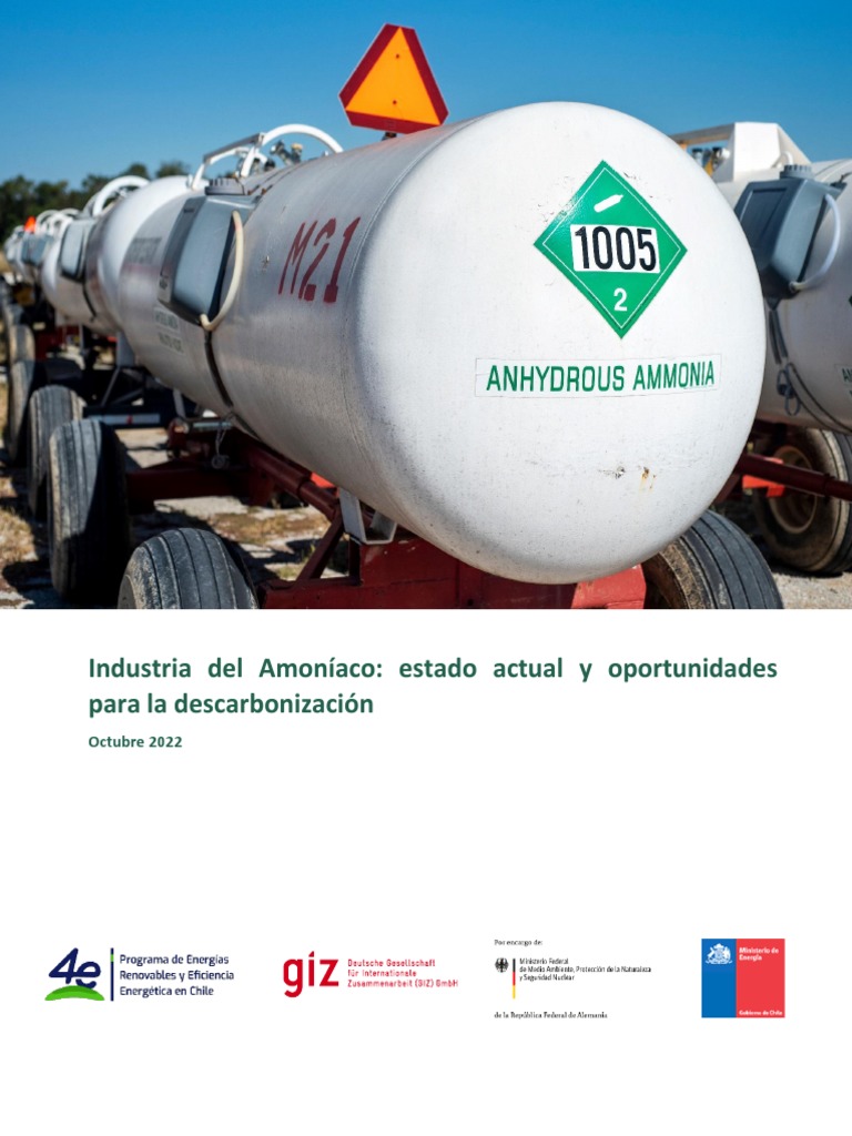 Industria Del Amoniaco Estado Actual y Oportunidades para La ...