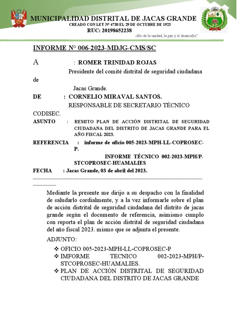 Informe DW Plan de Accion | PDF