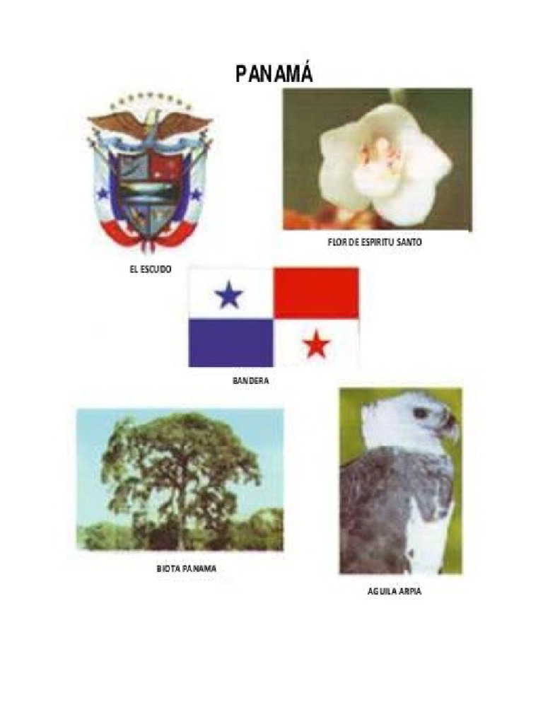 Simbolos Patrios America | PDF
