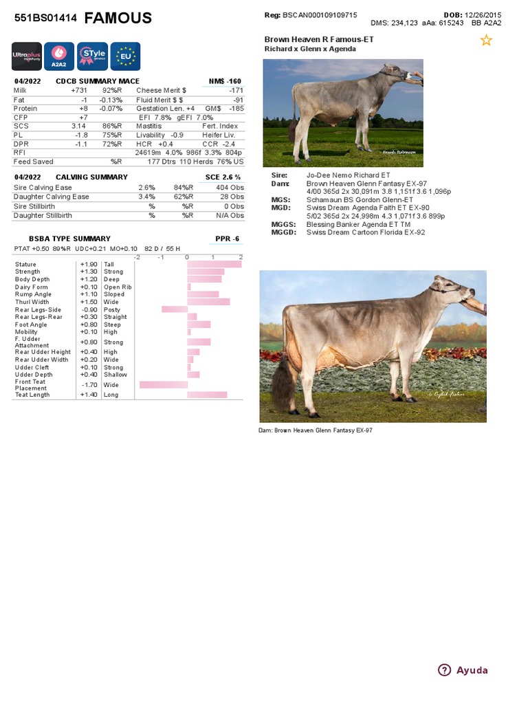 Dairy Bull - 551BS01414 - Brown Heaven R Famous-ET | PDF | Animals And ...