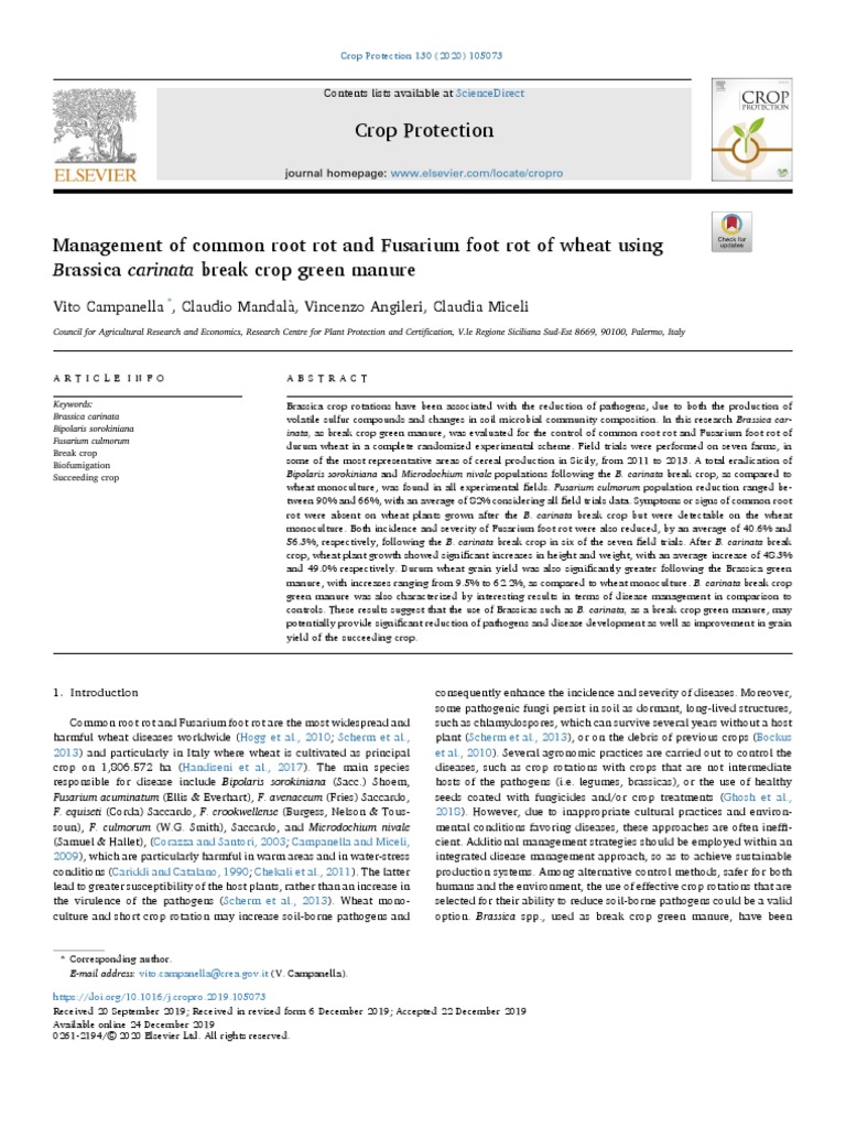 Management of Common Root Rot and Fusarium Foot Rot of Wheat | PDF ...