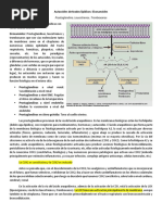 Fisiopatología de La Ciclooxigenasa-1 y Ciclooxigenasa-2 - Revista ...