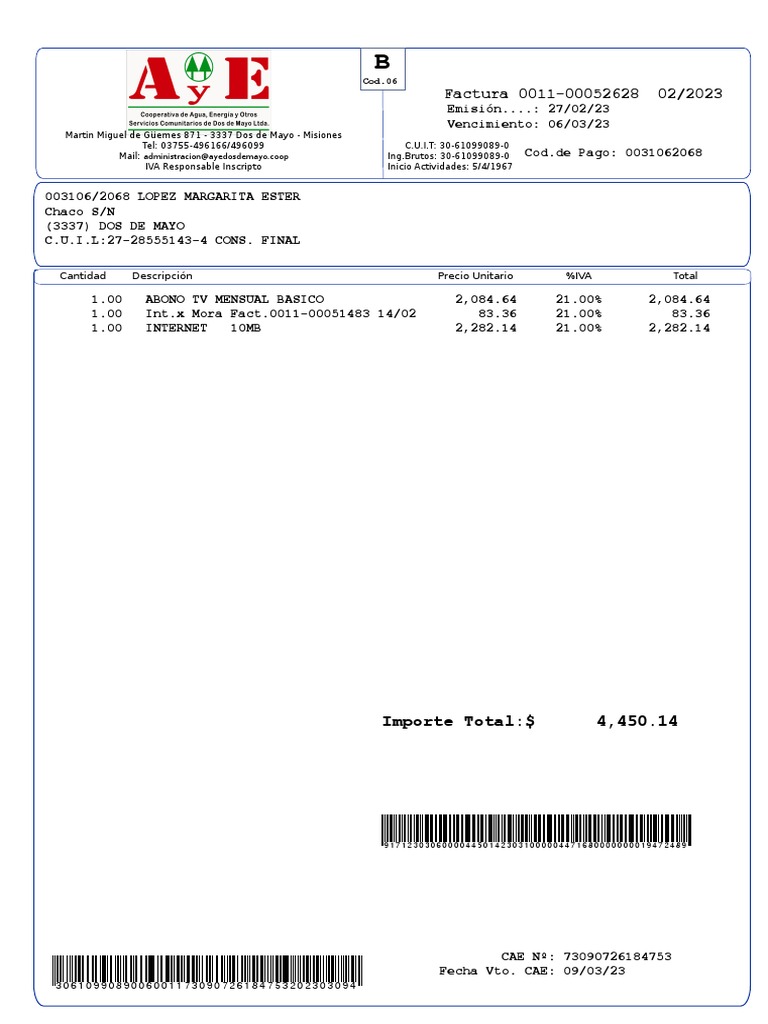 Factura Internet | PDF