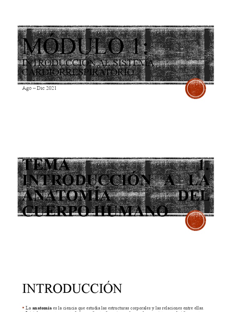 Módulo 1. Tema 1. CCH | PDF | Anatomía | Homeostasis