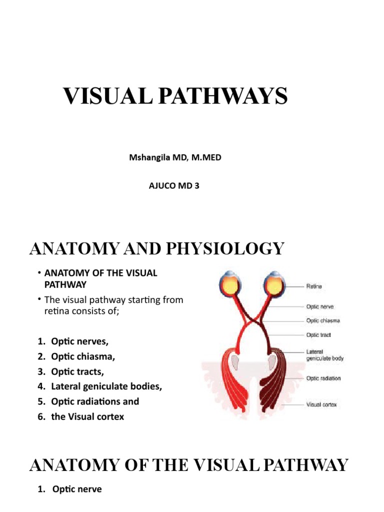 Visual Pathways: Mshangila MD, M.MED Ajuco MD 3 | PDF | Visual System ...