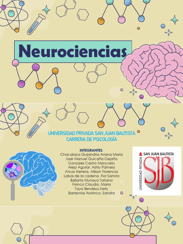 Neurociencia 1 | Descargar gratis PDF | Neurociencia | Cerebro