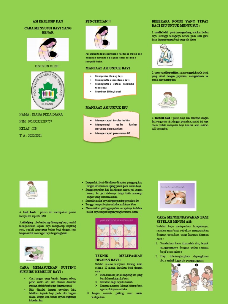 LEAFLET CARA MENYUSUI YANG BENAR | PDF