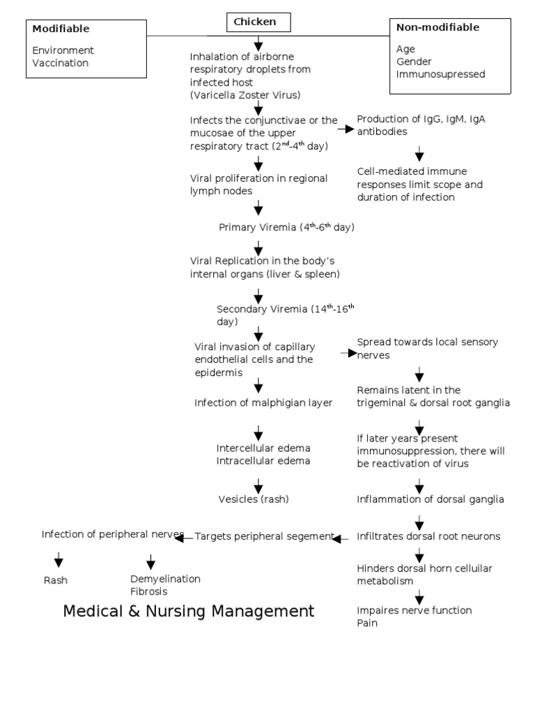Pa Tho Physiology Chicken Pox | PDF | Herpes Simplex | Viral Diseases