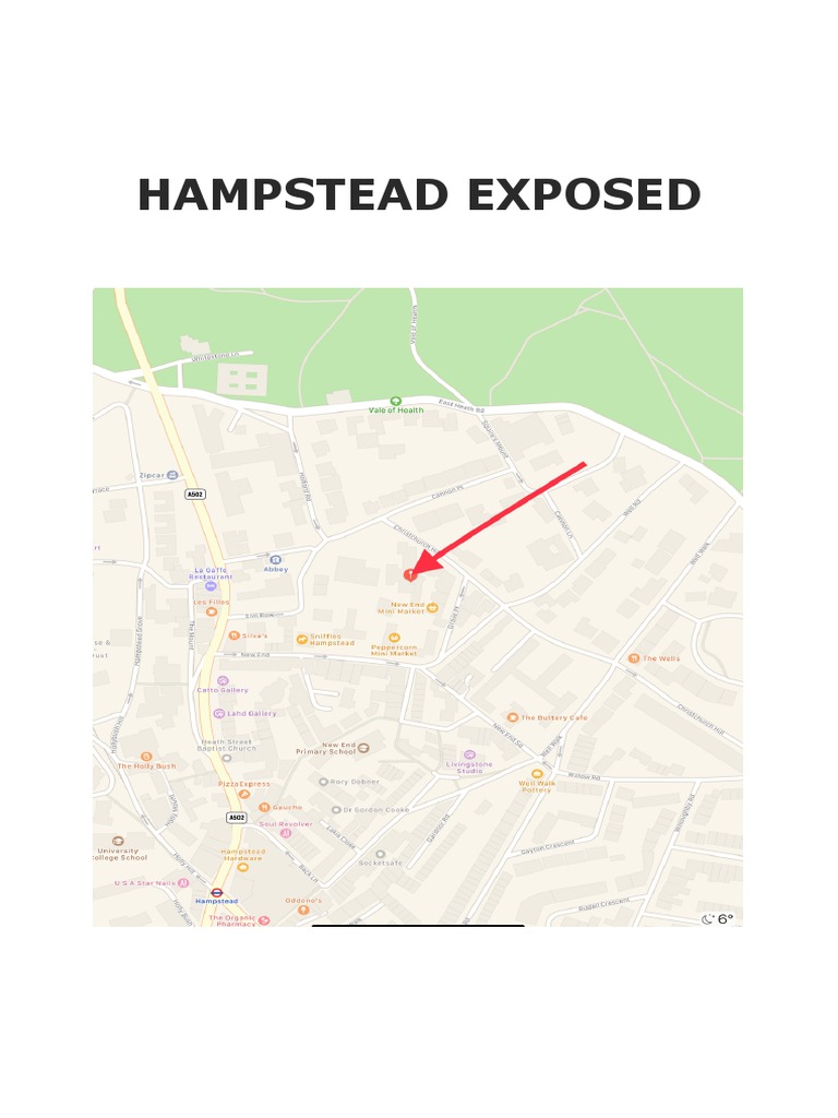 HAMPSTEAD EXPOSED CHILD ABUSE COVER UP | PDF | Arrest | Human Trafficking