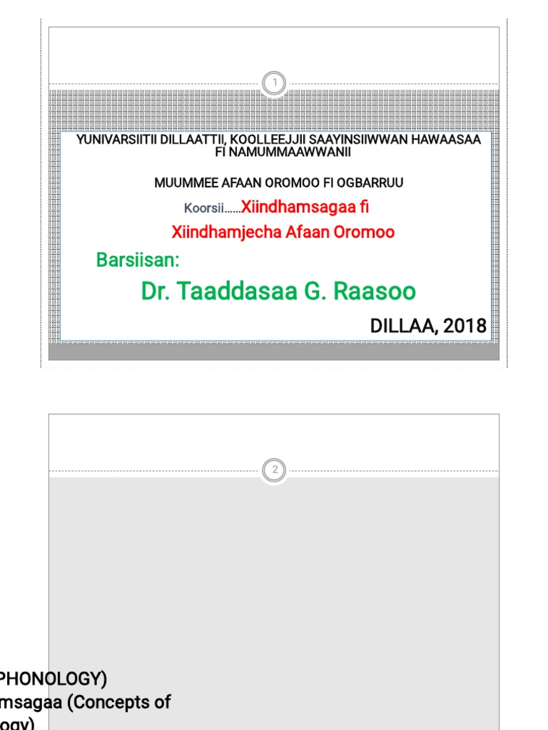 Dr. Taaddasaa G. Raasoo: Barsiisan: DILLAA, 2018 | PDF