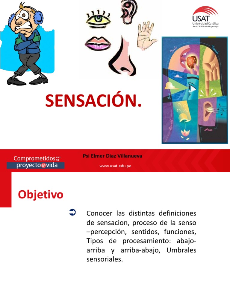 Introducción a la Sensopercepción | PDF | Ojo humano | Gusto