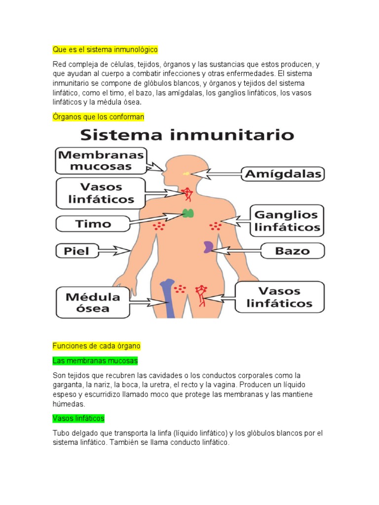 Sistema Inmunológico | PDF | Sistema linfático | Sistema inmune