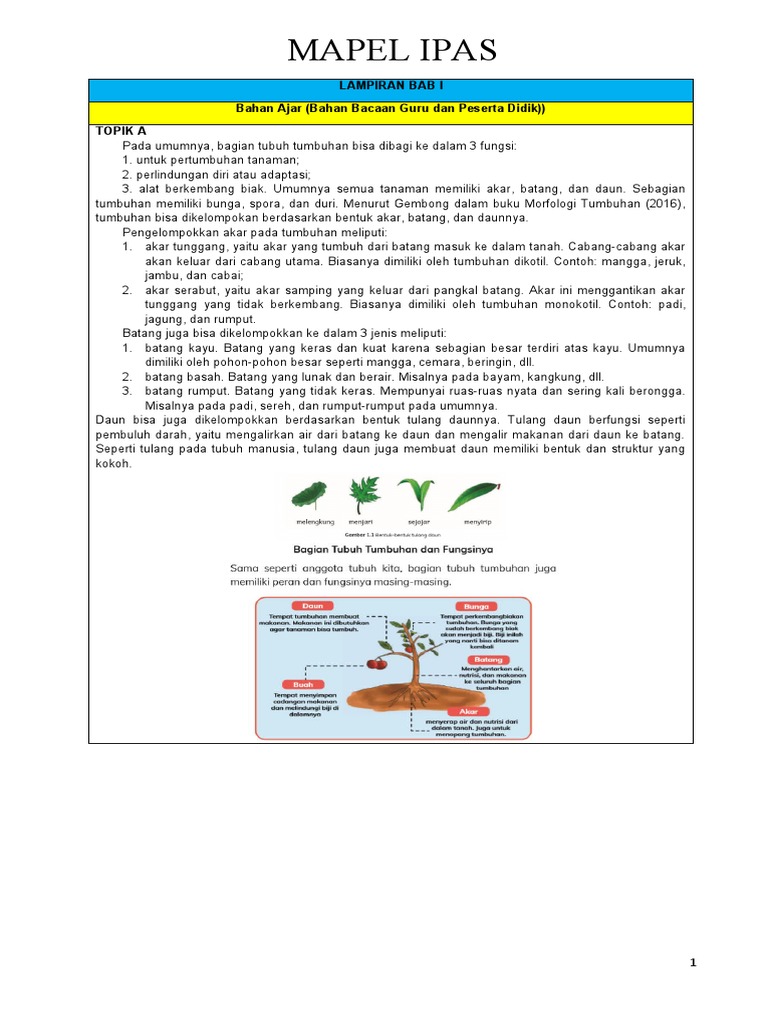 Lampiran Ipas KLS Iv SMS 1 | PDF