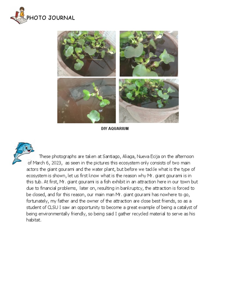 TRUNKZ JENO BARANGAN - Learning Task 3 (Photo Journal 1) - Ecosystem | PDF TRUNKZ JENO BARANGAN - Learning Task 3 (Photo Journal 1) - Ecosystem | PDF