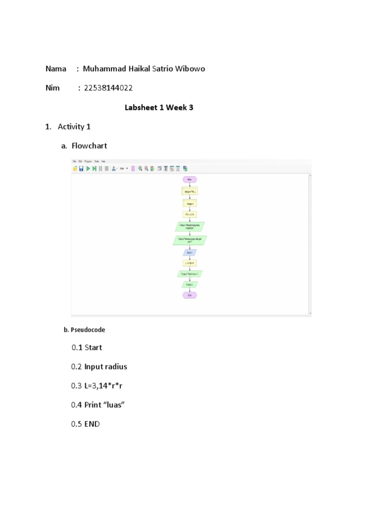 Muhammad Haikal Satrio 22538144022 | PDF | Computers