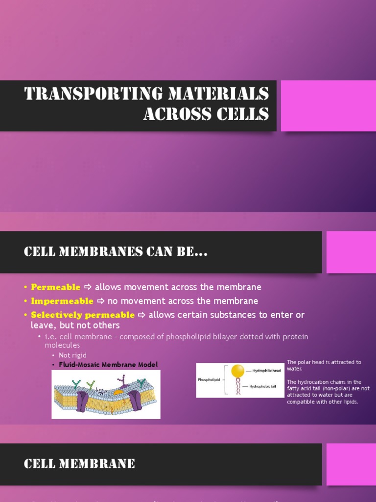 Lesson #7 - Transporting Materials Across Cells | PDF | Cell Membrane | Lipid Bilayer