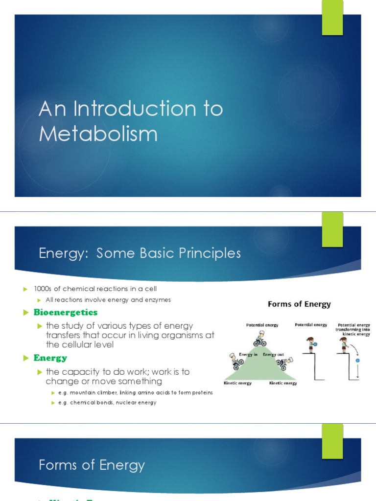 Lesson #1 - An Introduction to Metabolism | PDF | Redox | Nicotinamide ...